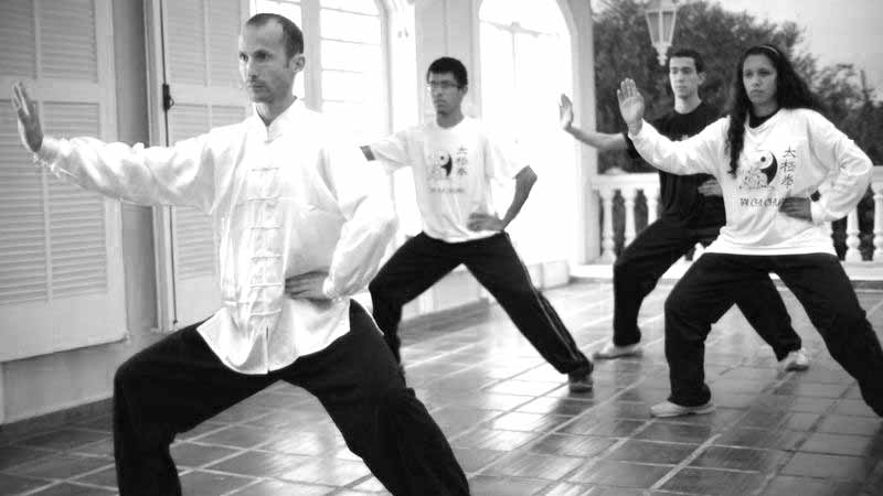 Kids Tai Chi - Chen Tai Chi Ireland